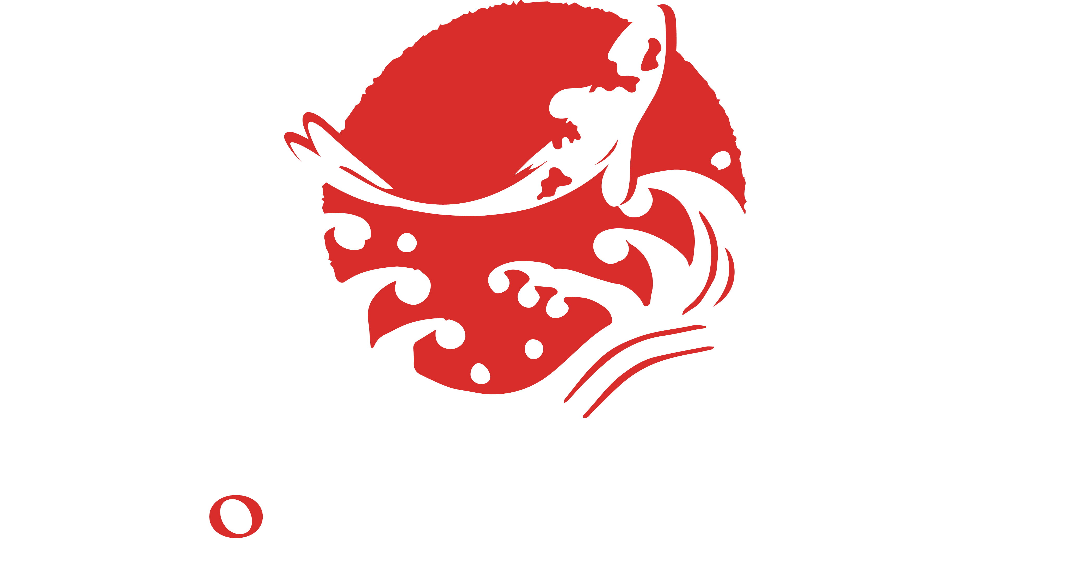 Hiro Schwabach